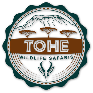 Tohe Wildlife Safaris | Tanzania's Serengeti Experts