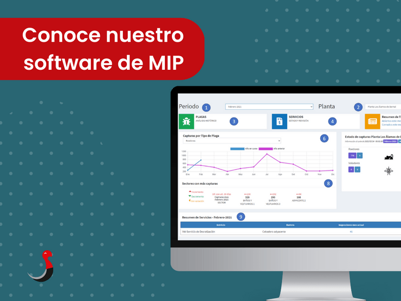 Conoce nuestro software de MIP | Rupipest
