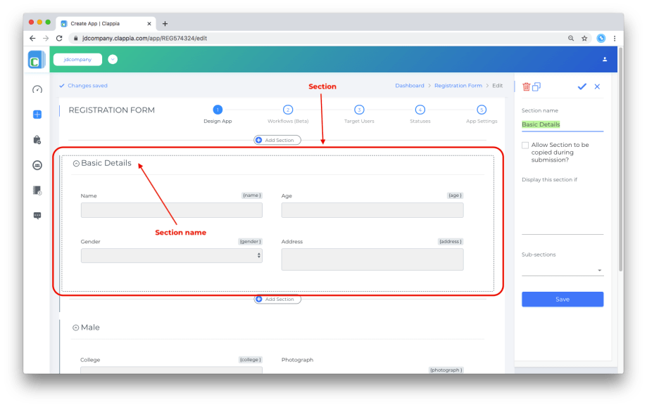 Sections - Basic, Conditional, Copyable