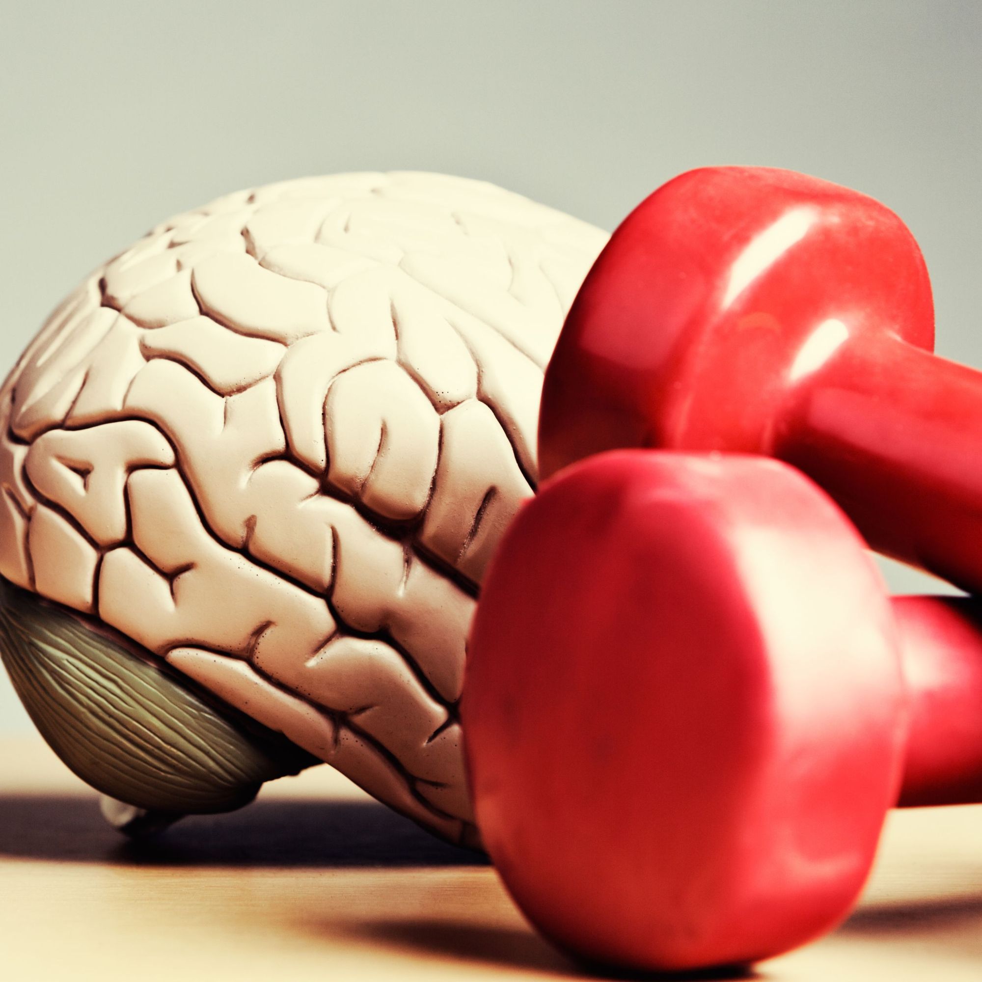 Optimize You Performance Medicine - Chandler, AZ | Integrative Sports ...