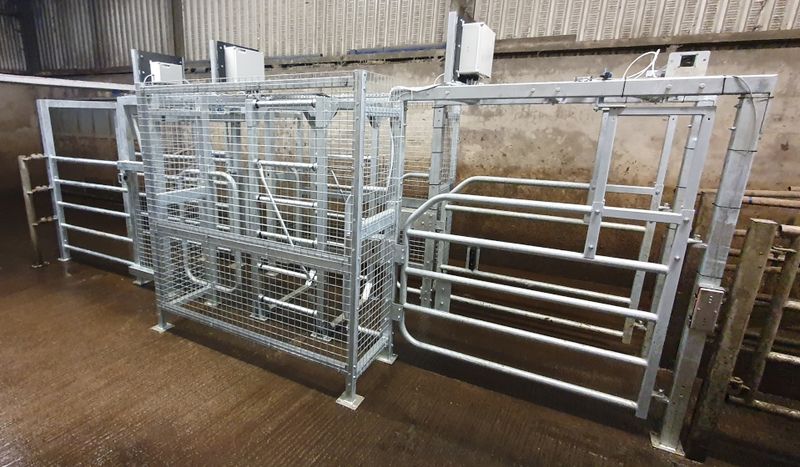 Pegasus Drafting Gates