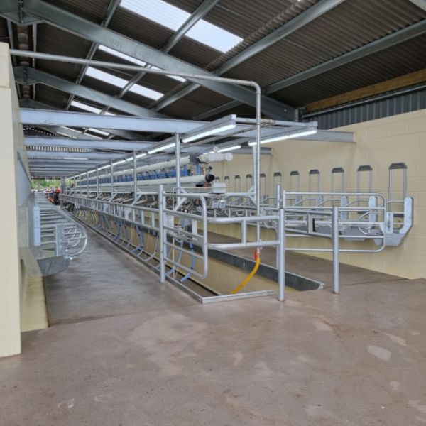 HD50 Swingover Milking Parlour
