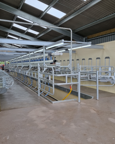 HD50 Swingover Milking Parlour