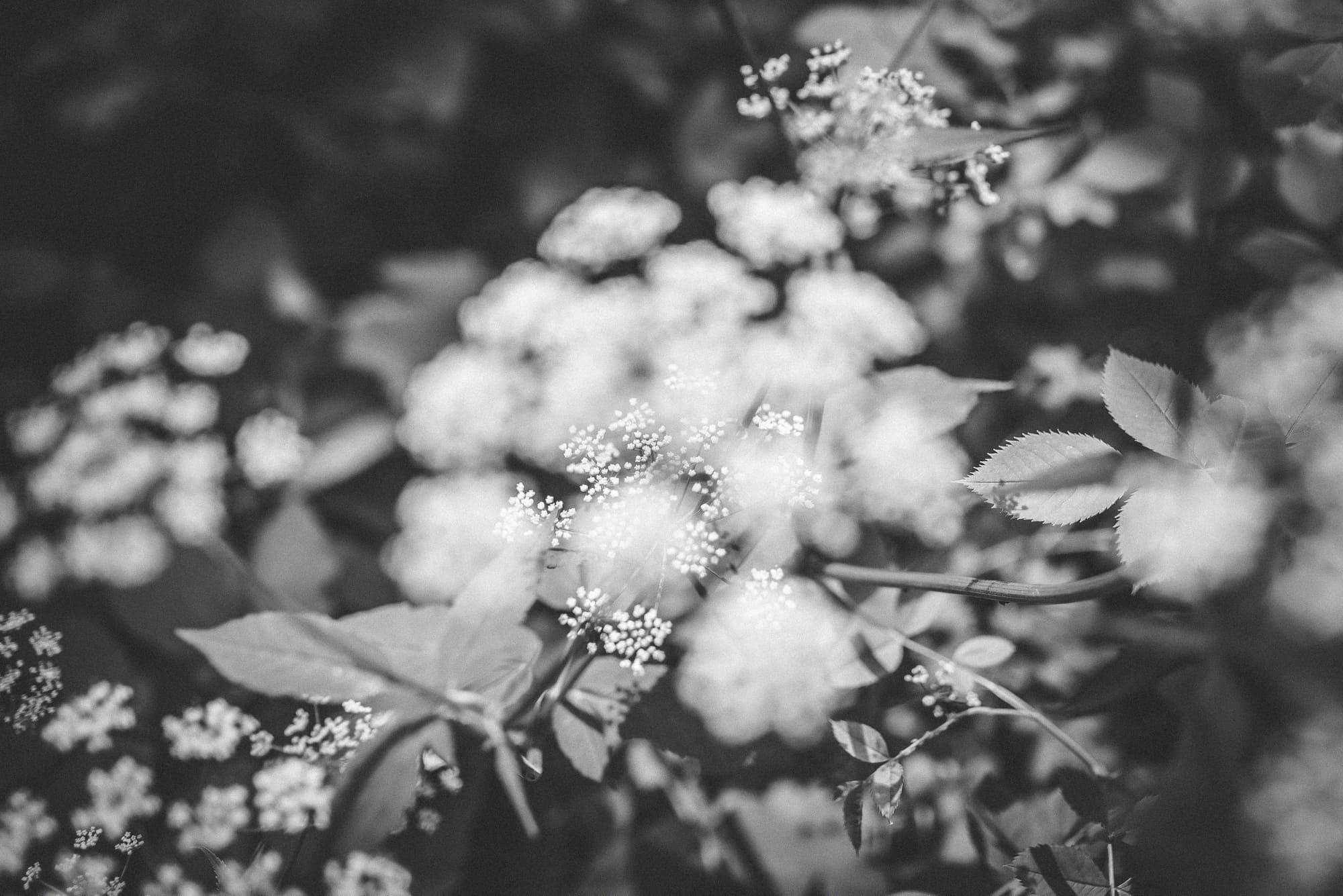 How The SIBAM Model Can Help You Overcome Trauma