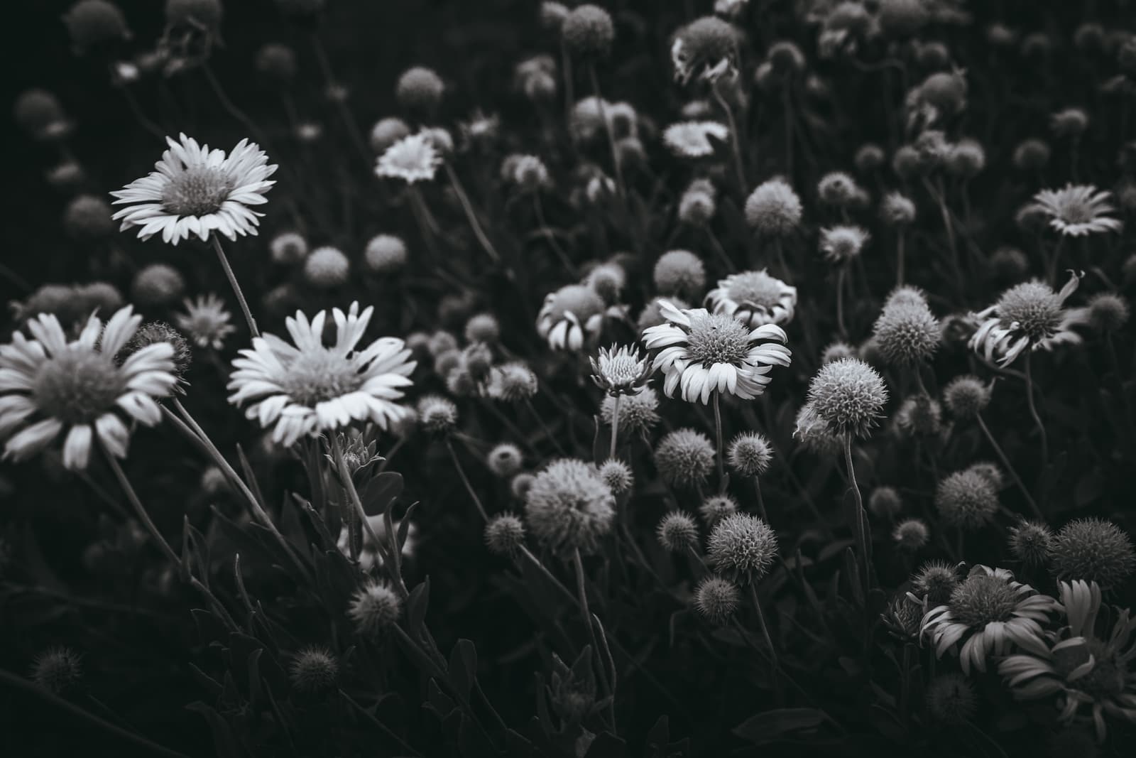 How The SIBAM Model Can Help You Overcome Trauma