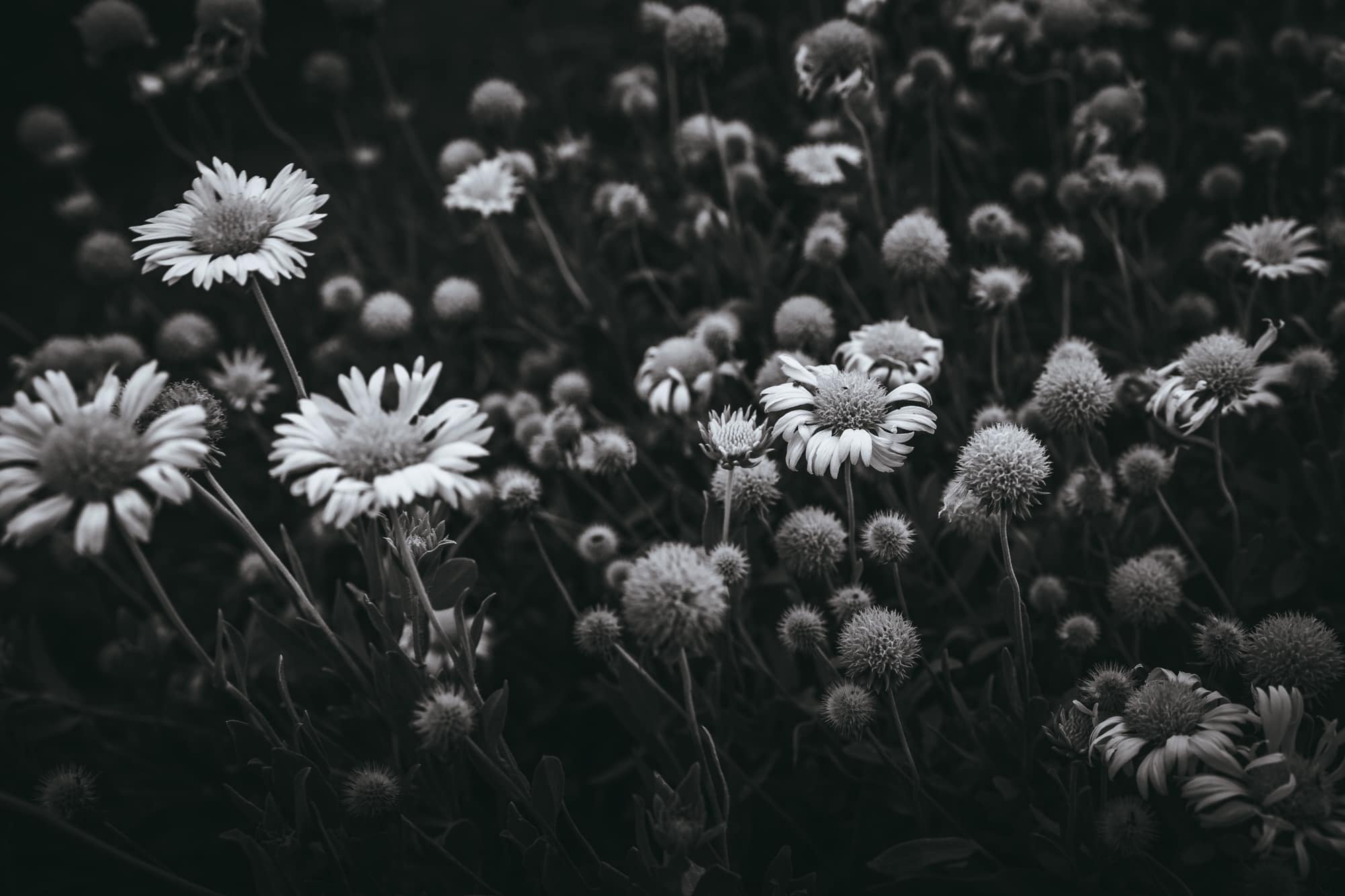 How The SIBAM Model Can Help You Overcome Trauma