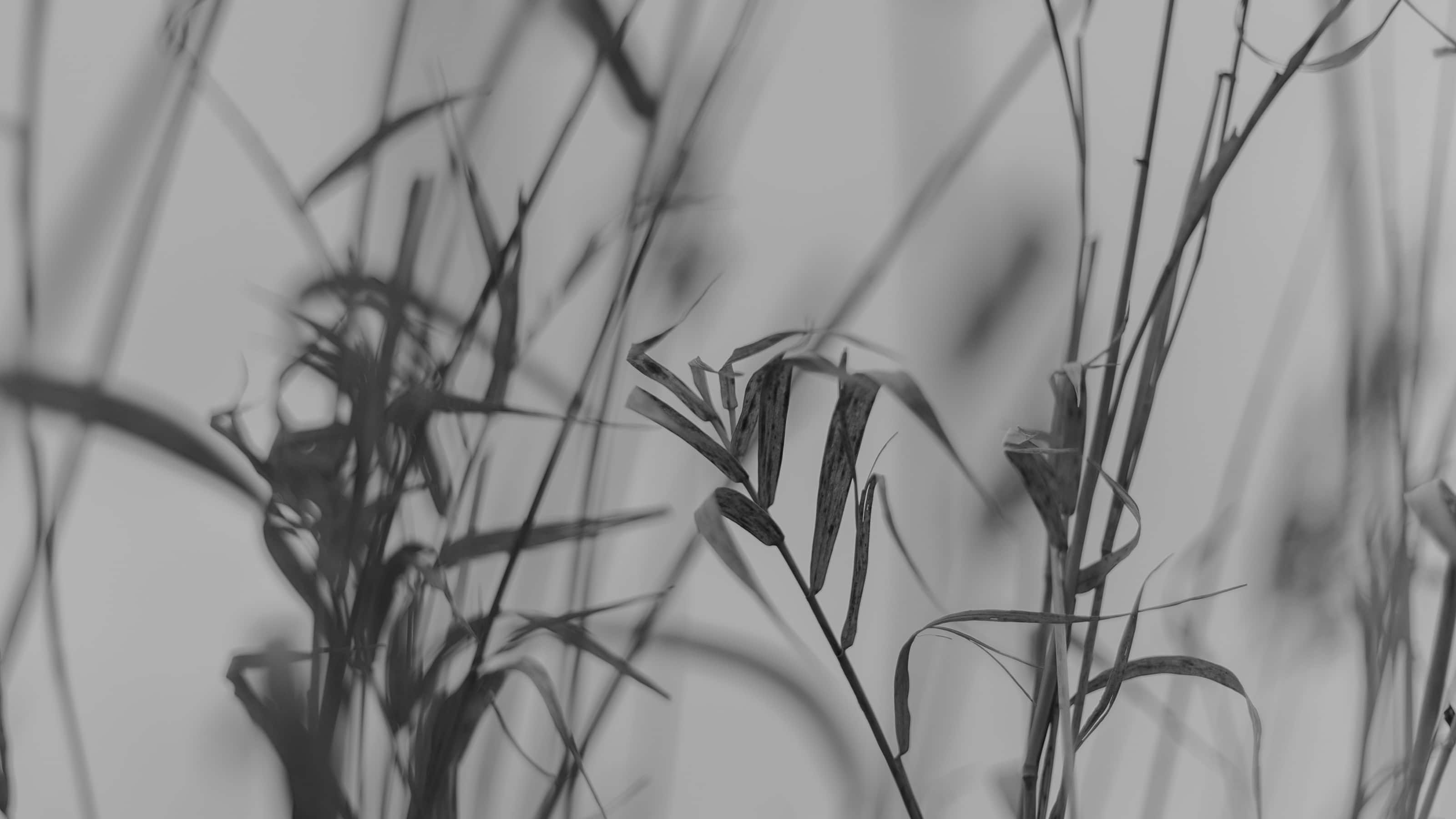 How The SIBAM Model Can Help You Overcome Trauma