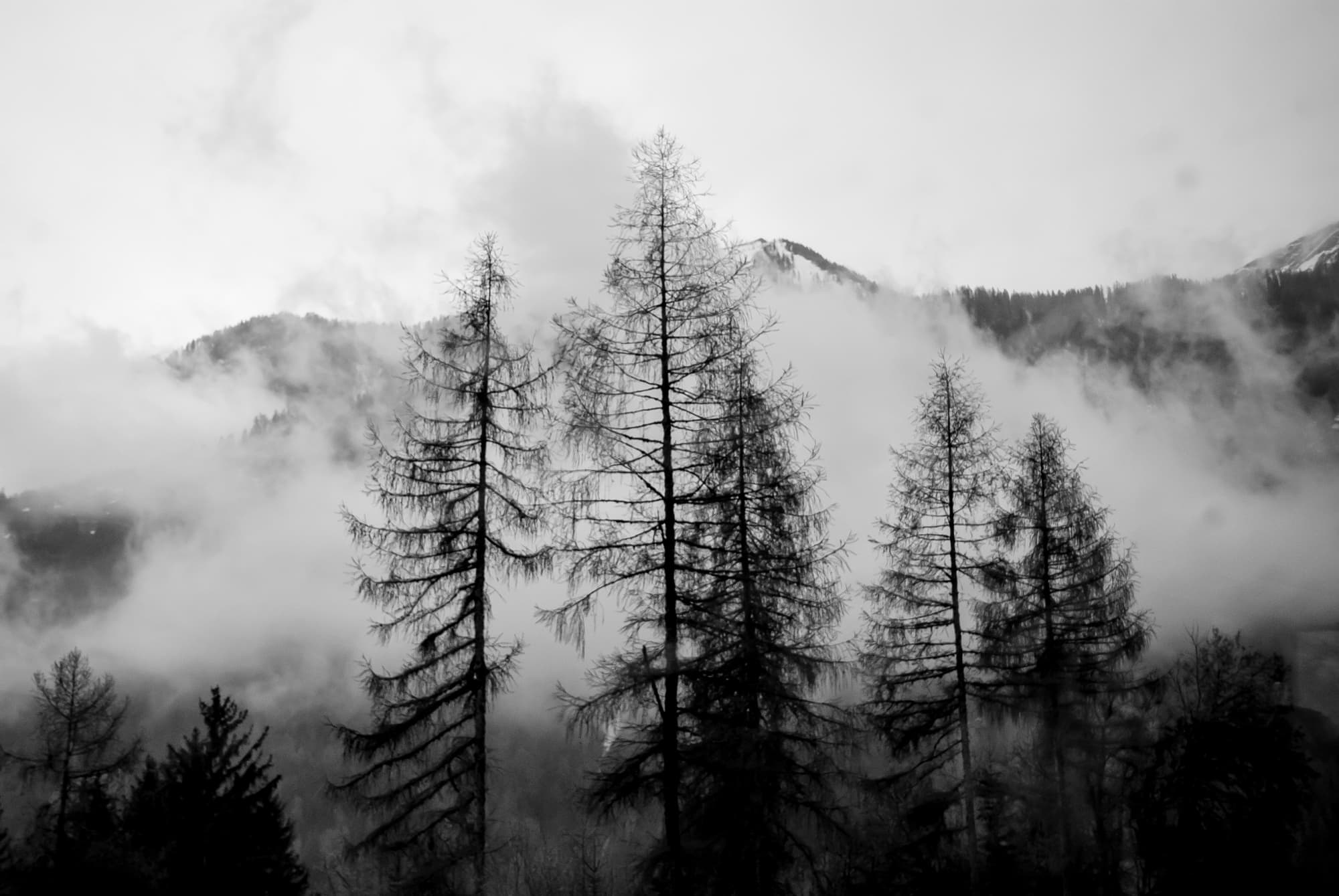 How The SIBAM Model Can Help You Overcome Trauma