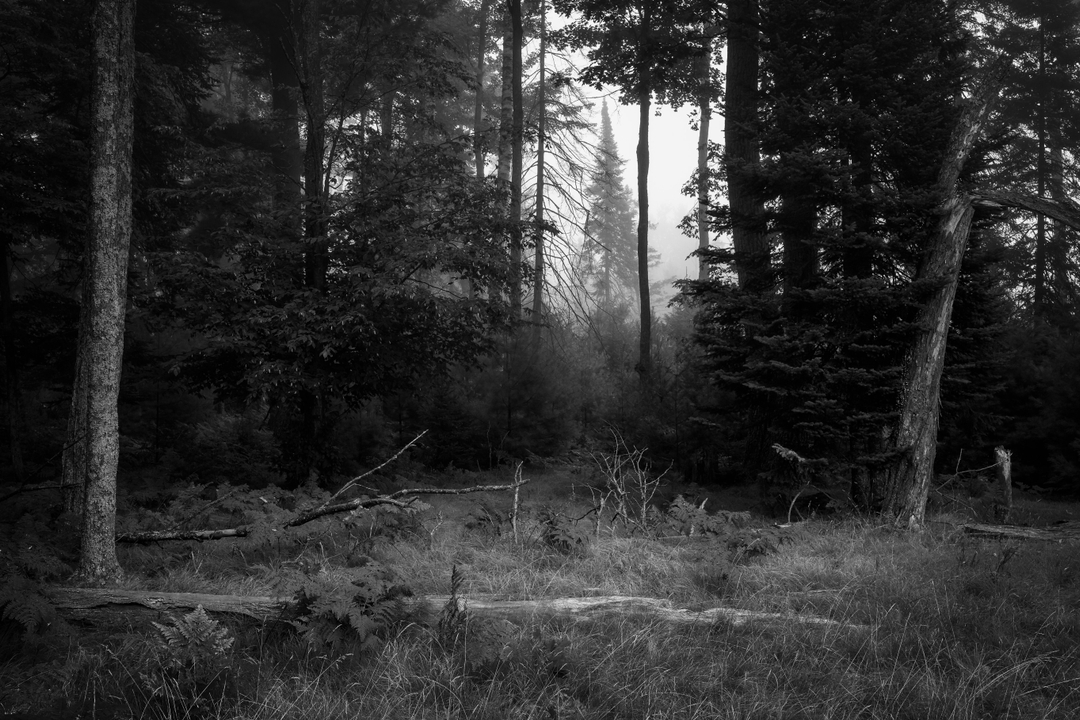 How The SIBAM Model Can Help You Overcome Trauma