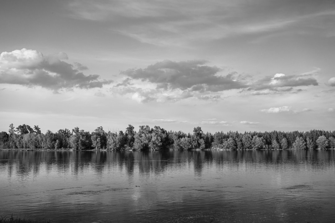 How The SIBAM Model Can Help You Overcome Trauma