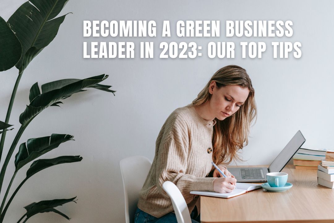 Becoming A Green Business Leader In 2023: Our Top Tips