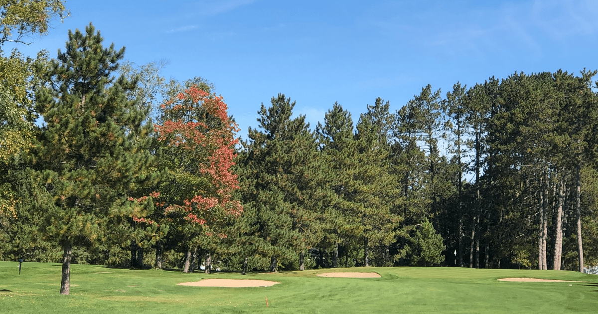 Swan Lake Country Club - Pengilly, MN