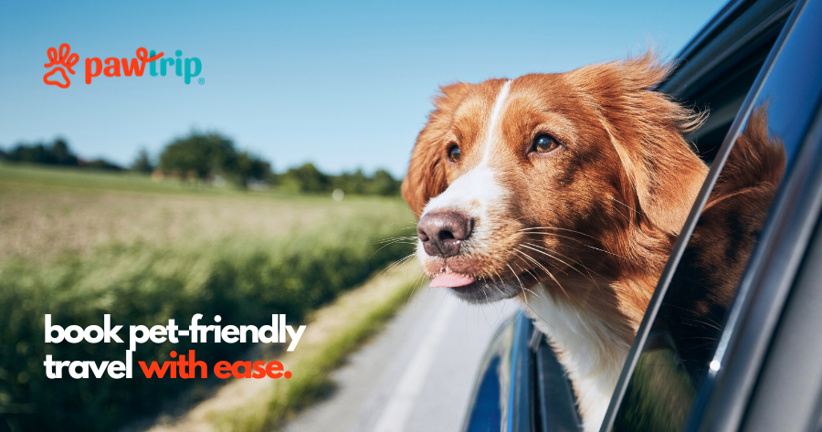 Pawtrip · Pet Reservation System · Pet-Friendly Travel