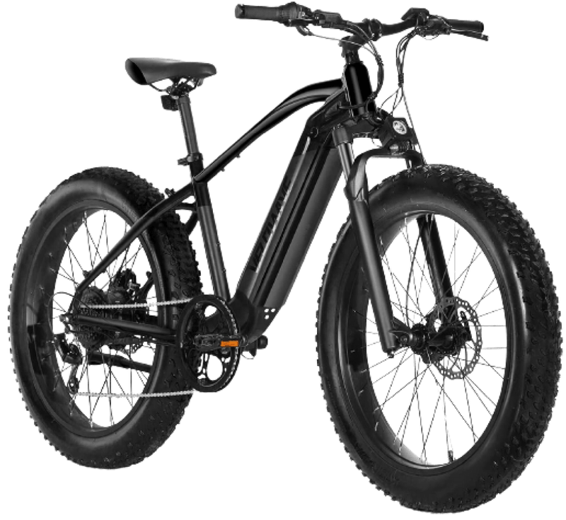 tt-ebike