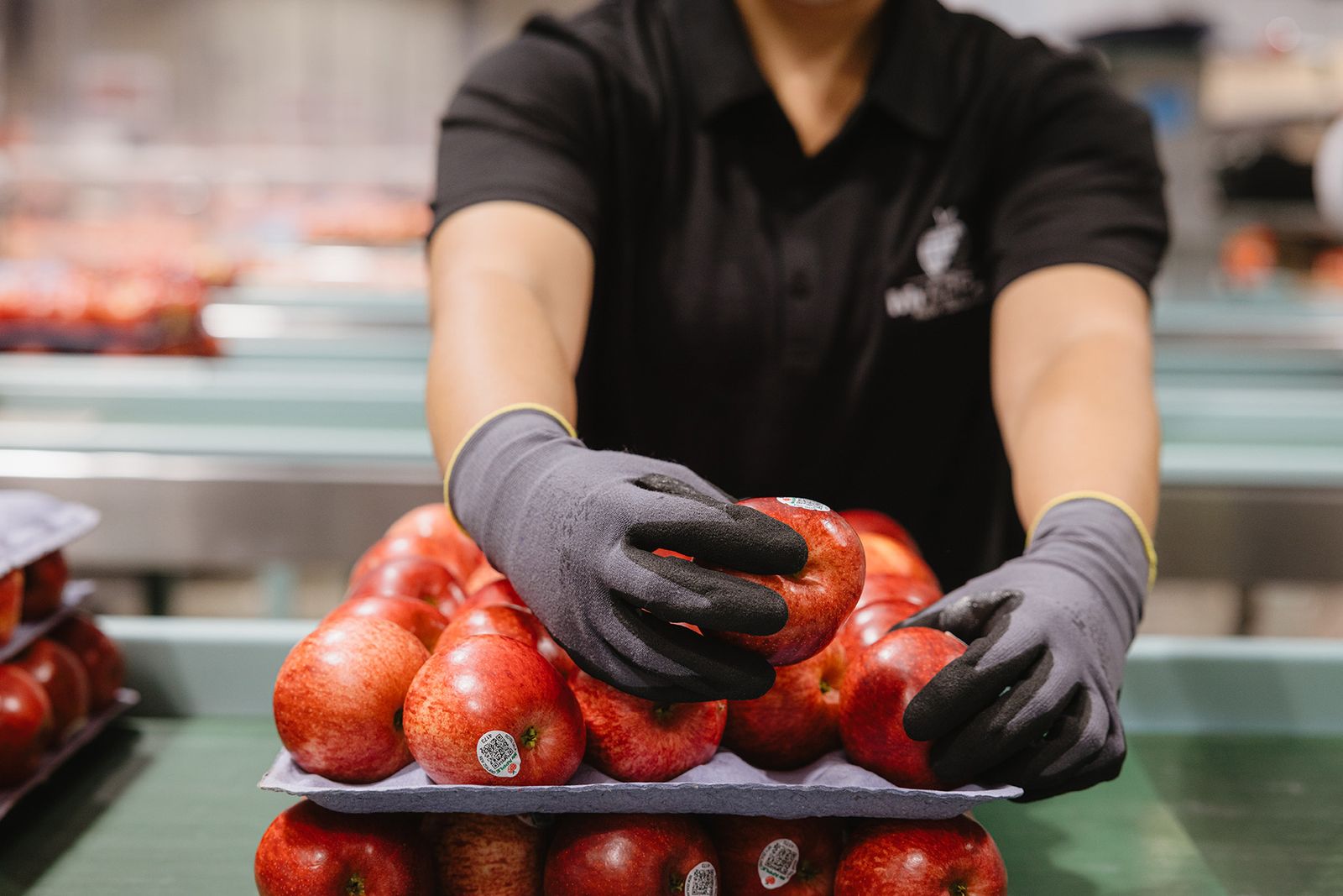 Mr Apple - Safe, Crunchy & Delicious Apples