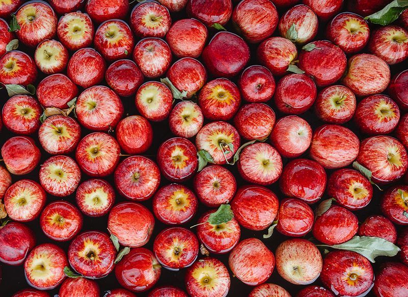 Mr Apple - Safe, Crunchy & Delicious Apples