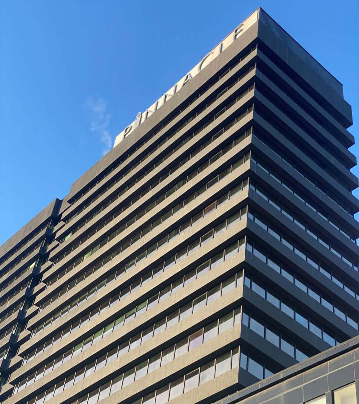 Adaston joins as official brand partner