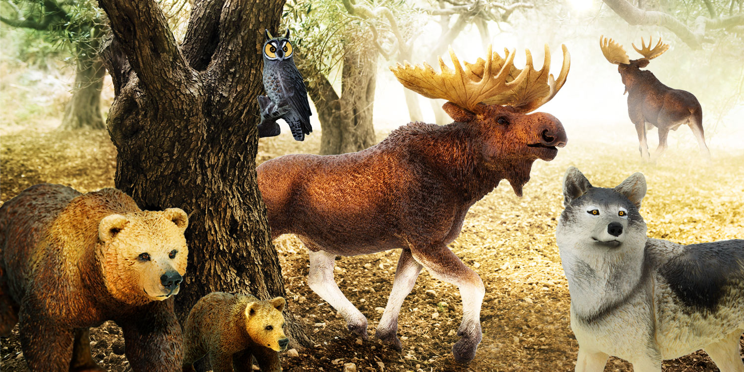 Wildlife - Safari Ltd® | Browse the SafariPedia