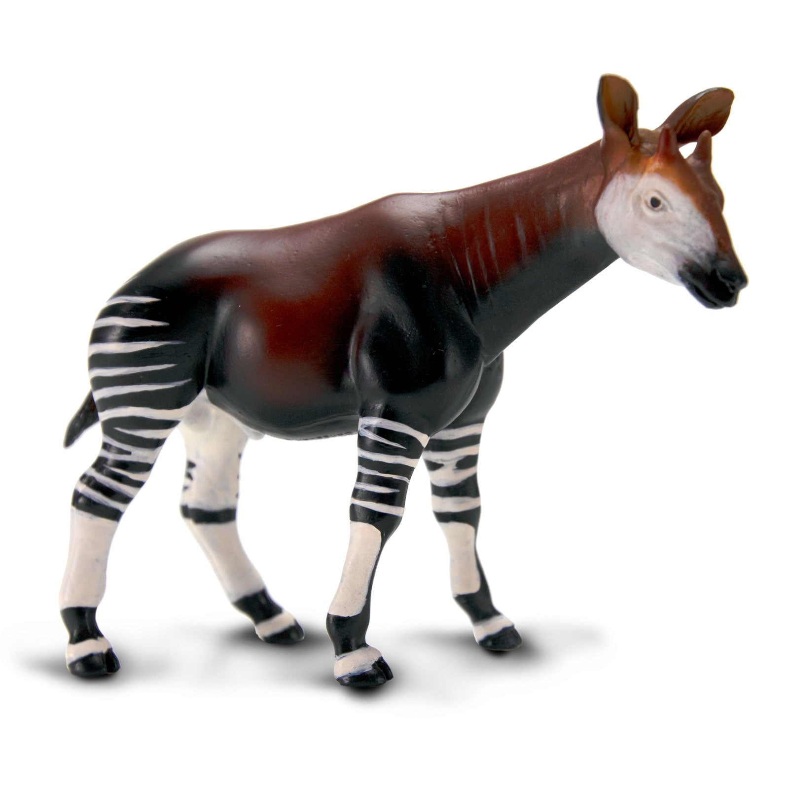 Okapi - Safari Ltd® | Browse the SafariPedia