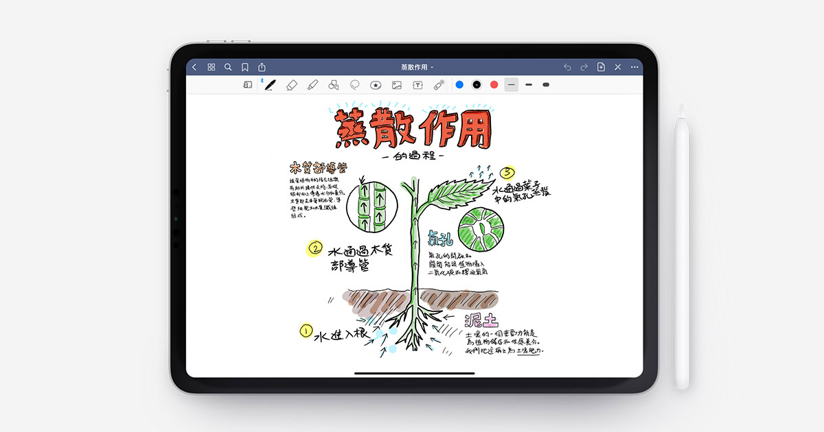 学习卡组（Study Sets） — 将你的笔记转换为闪卡 | GoodNotes