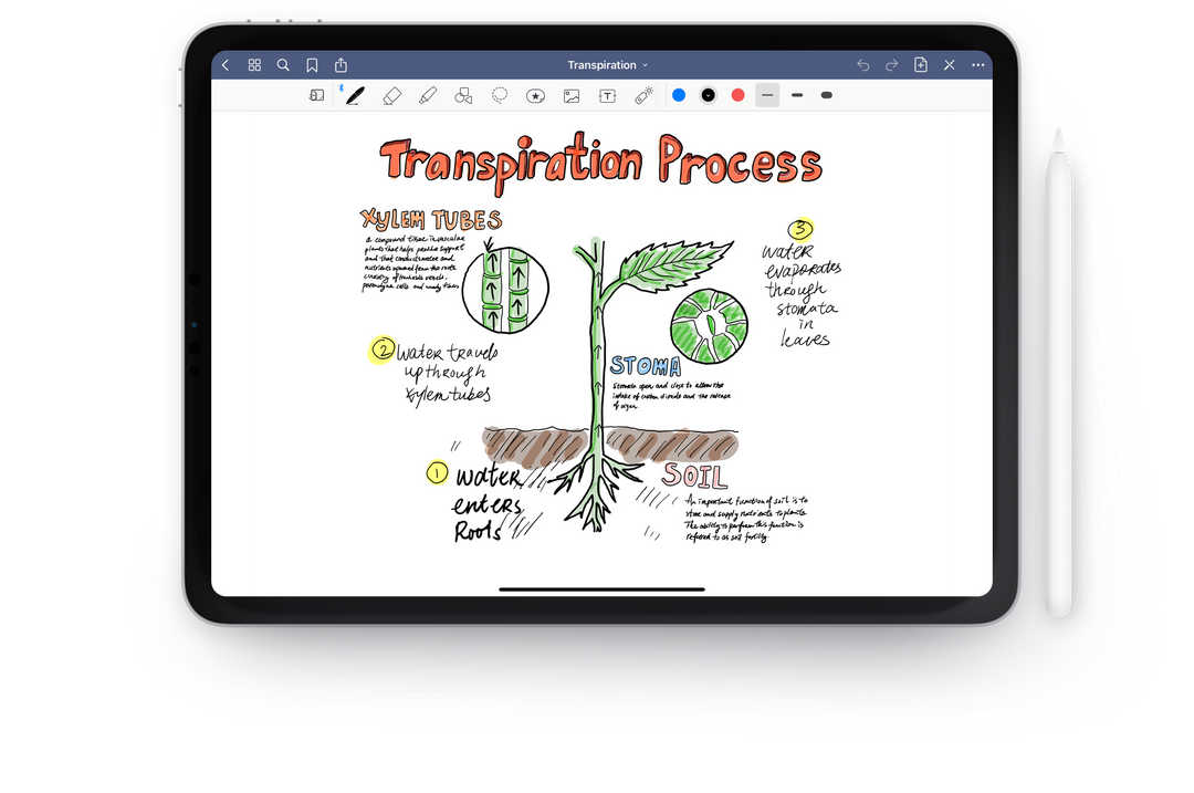 GoodNotes | Best Note-Taking App for iPad