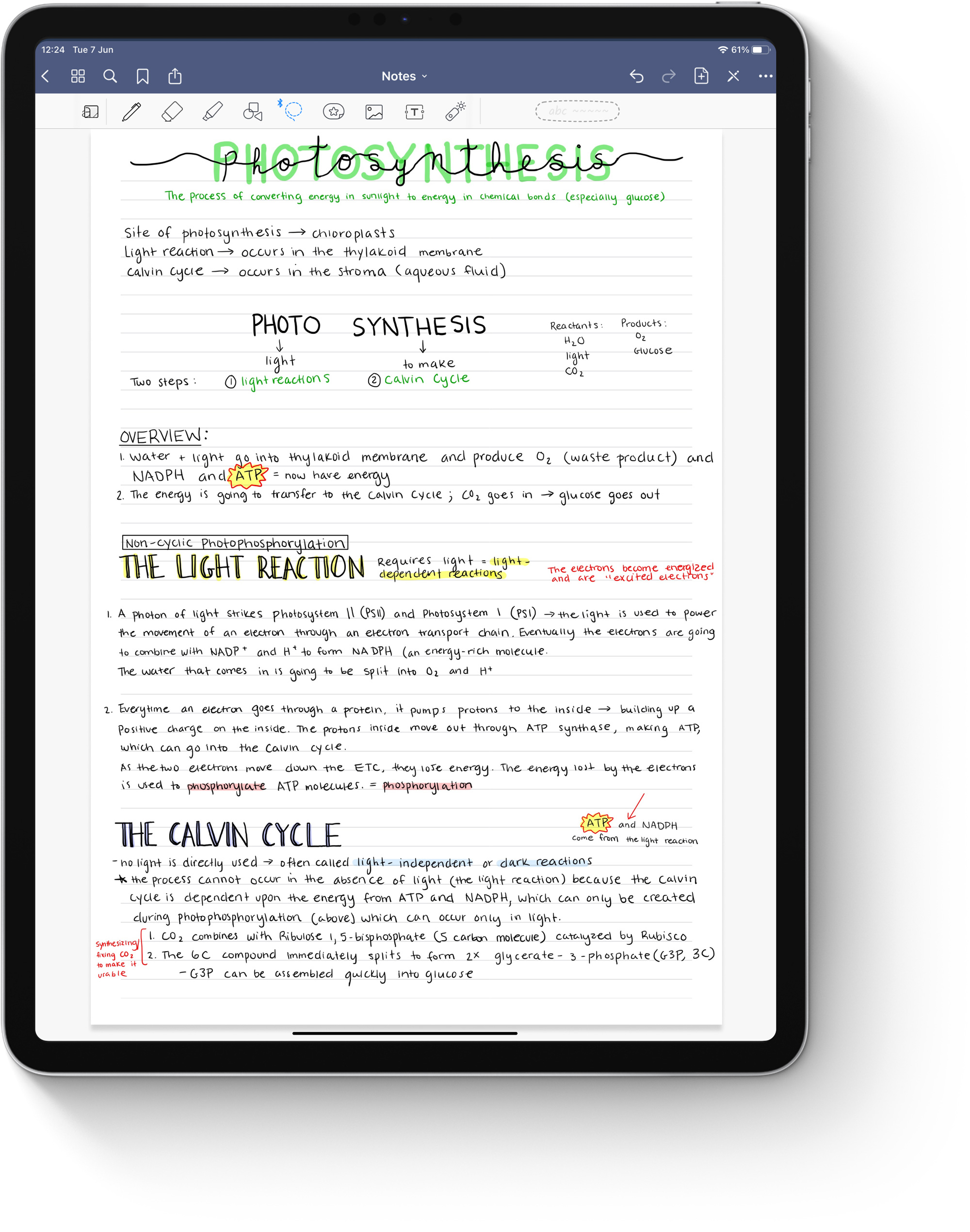 Goodnotes Notes Templates Free