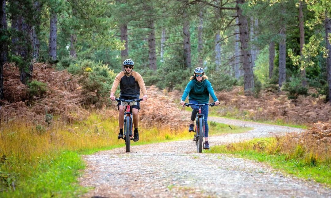 Cyclexperience - New Forest & Dorset Bike Hire