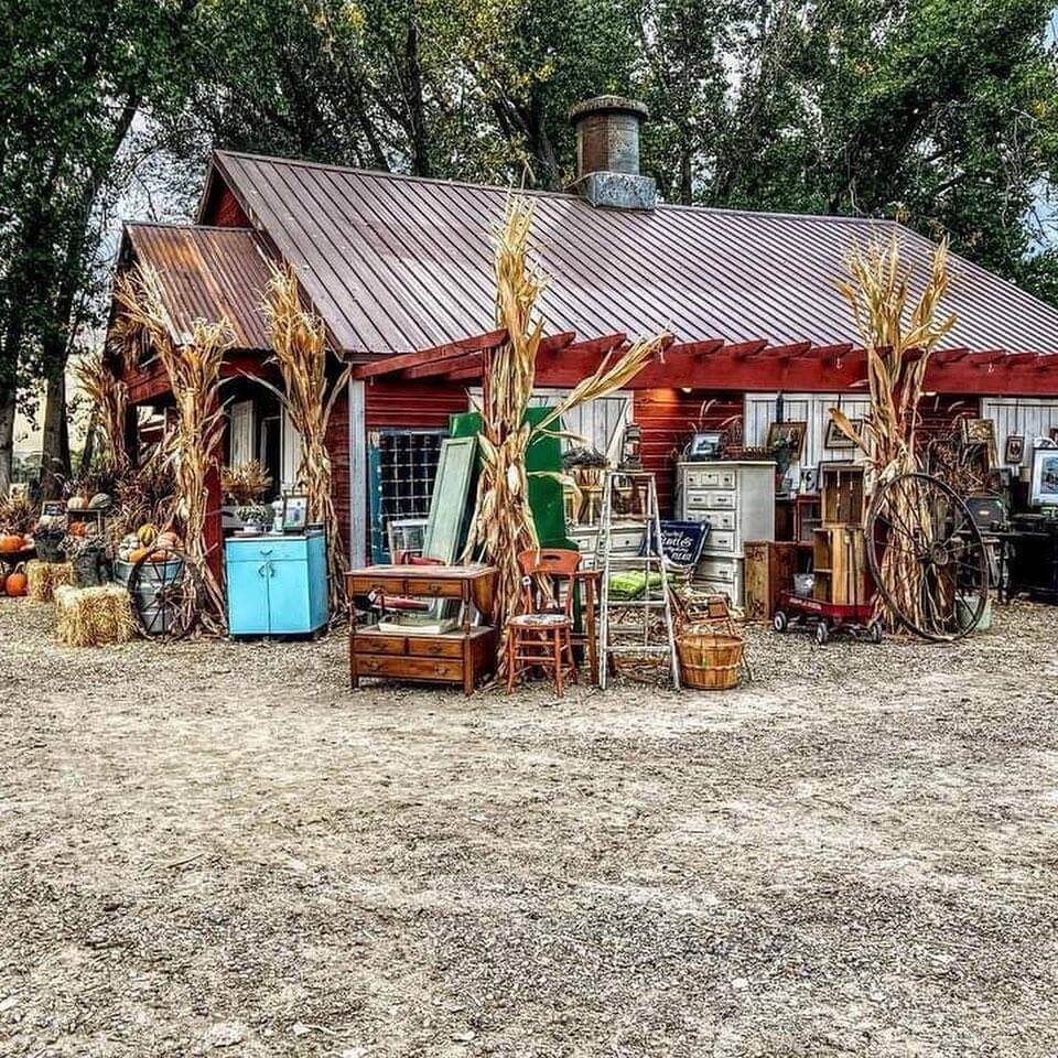 About Us - The Potted Porch