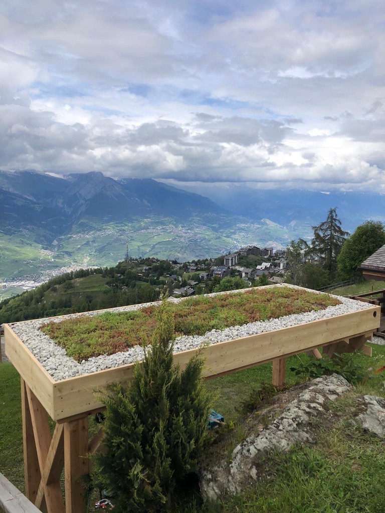 The Benefits of a Green Roof in the Winter - GrufeKit News