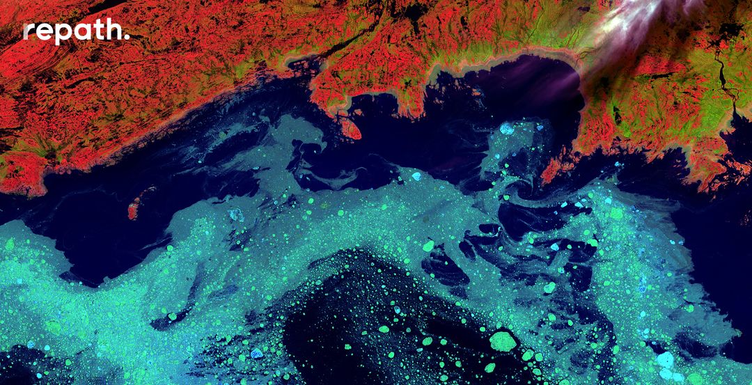 Origin Story Interview W/ Liza Altena, repath