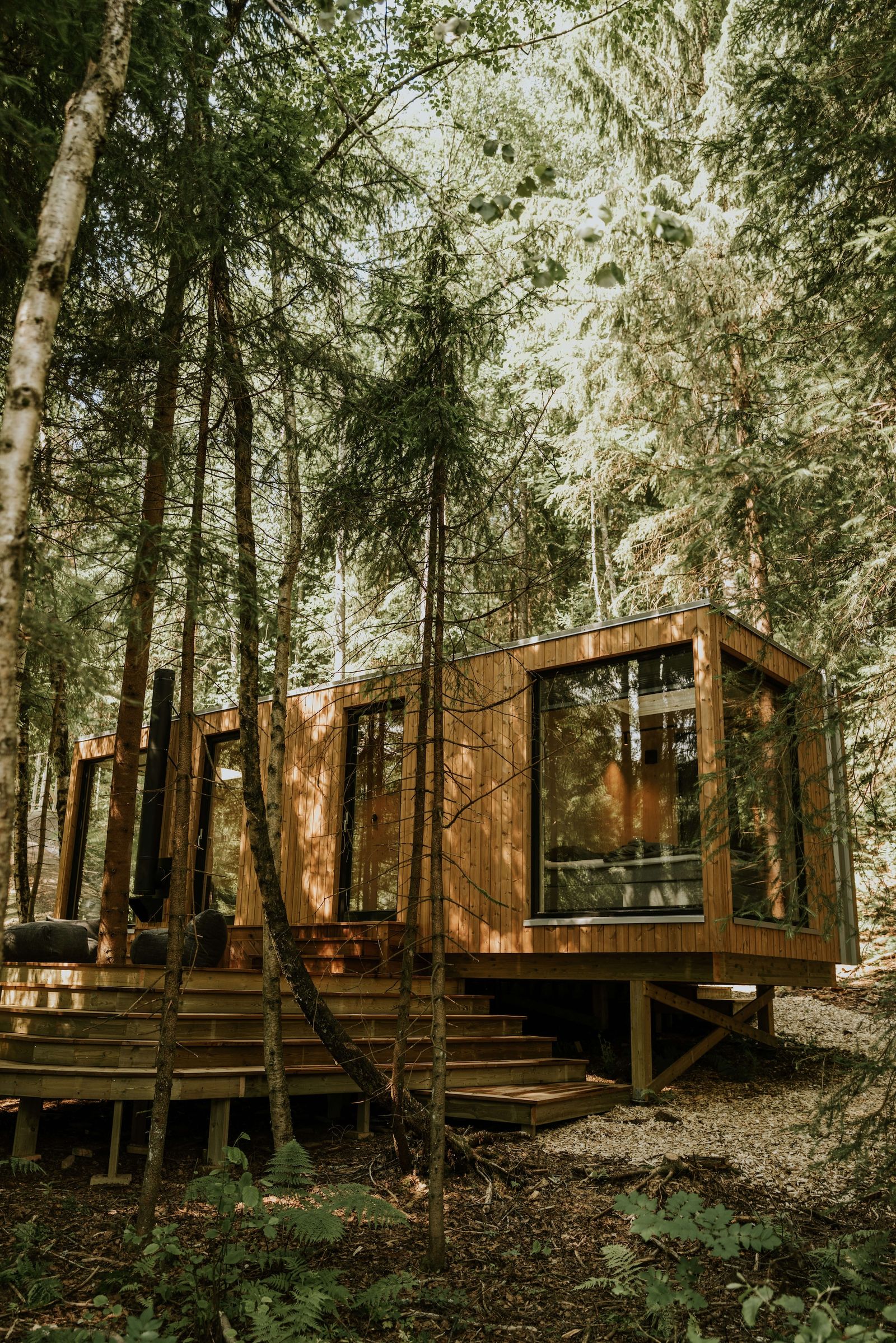 The Forest Cabins