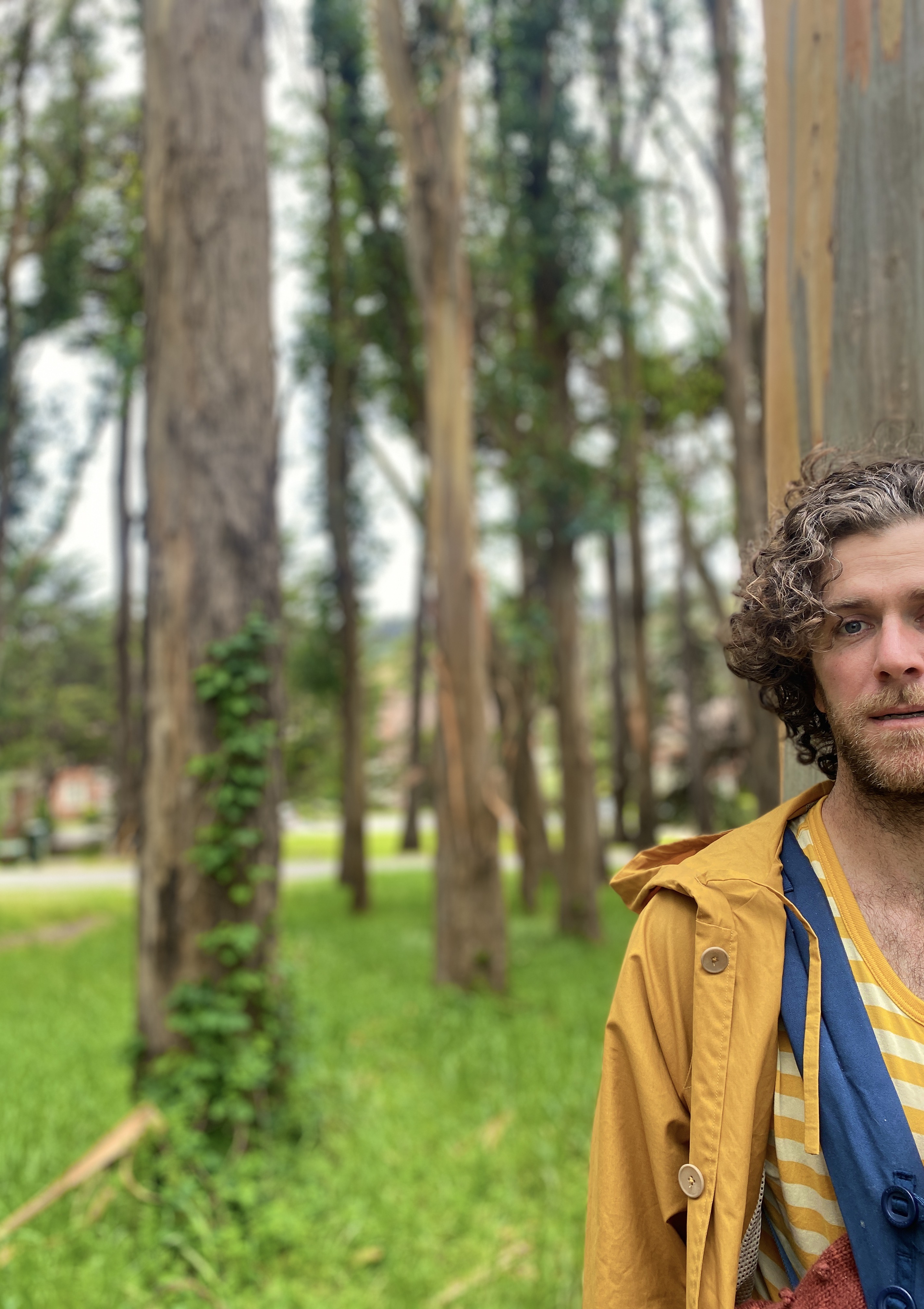 Profile | Brett Land