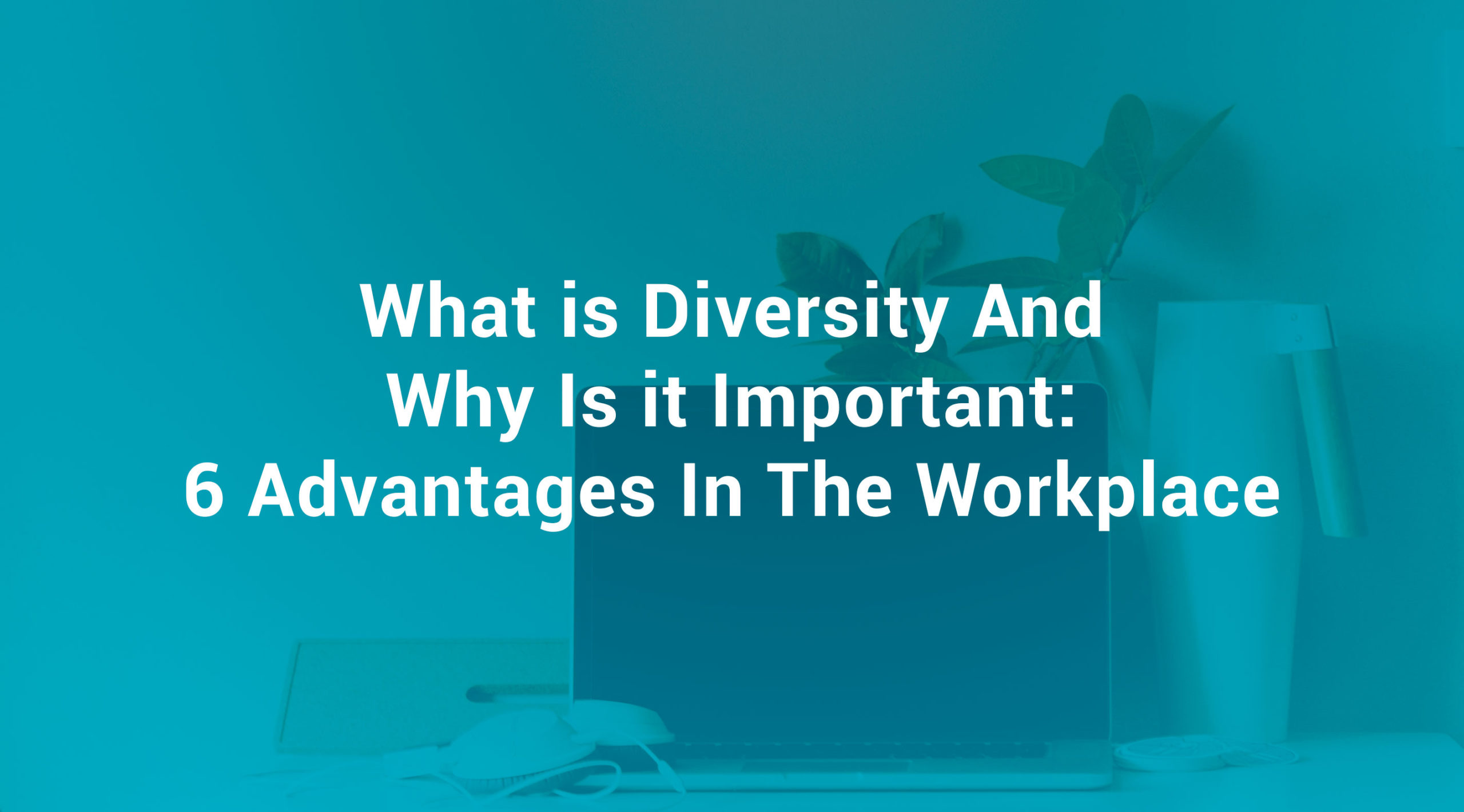 What Is Diversity And Why Is It Important 6 Advantages In The Workplace What Is Diversity And Why Is It Important 6 Advantages In The Workplace