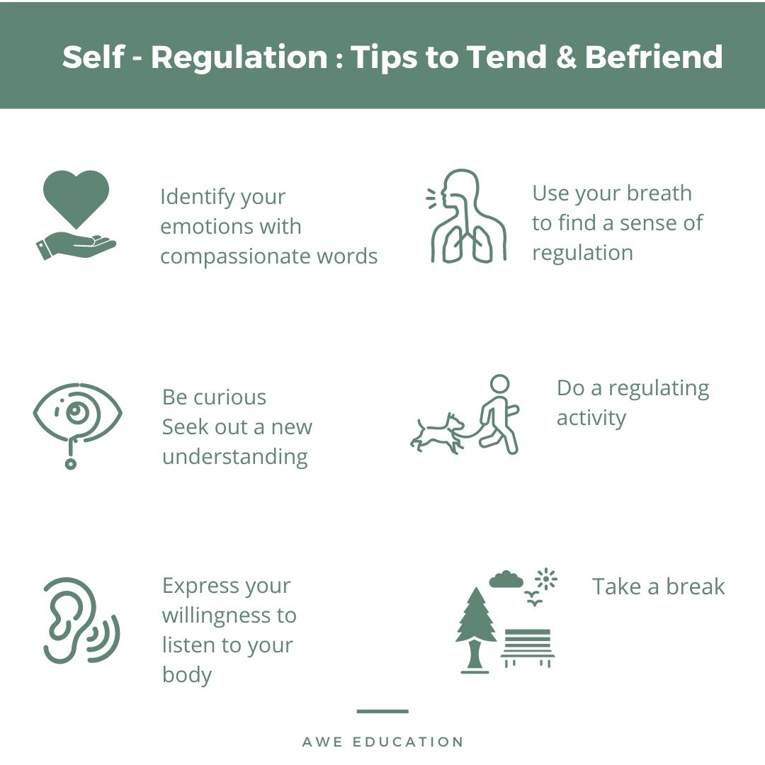 Self-Awareness vs Self-Regulation