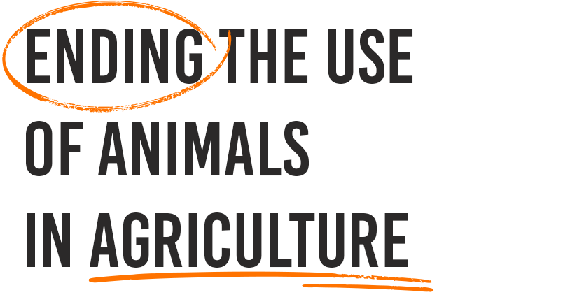 Ending the use of animals used in agriculture
