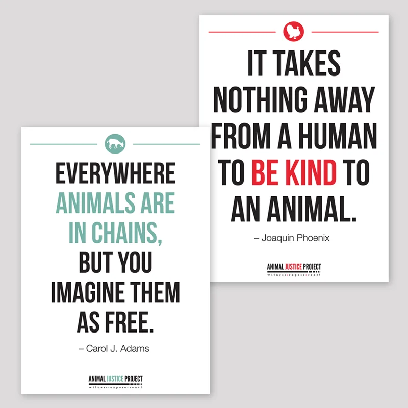 Downloadable A4 Animal Rights Quotes Posters (8 designs)