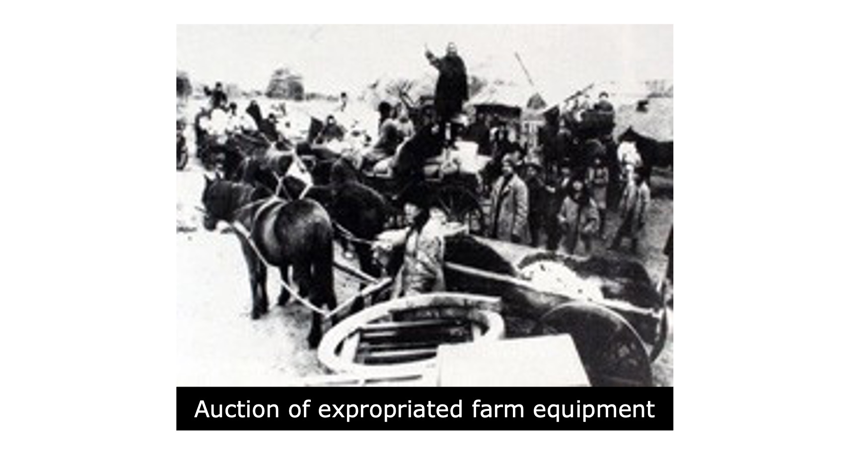 Dekulakisation and Collectivisation