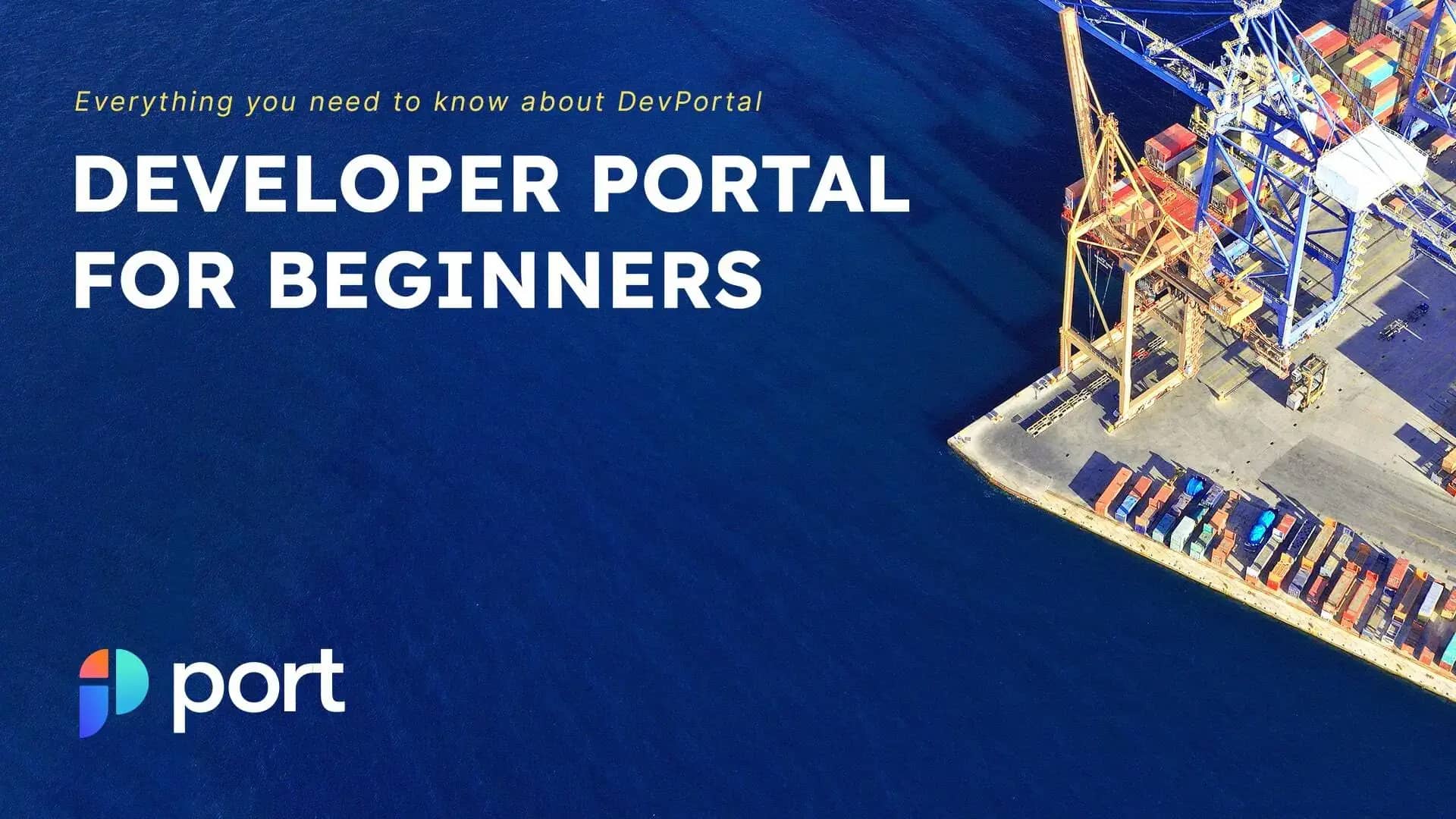 What is a developer portal and why do you need It