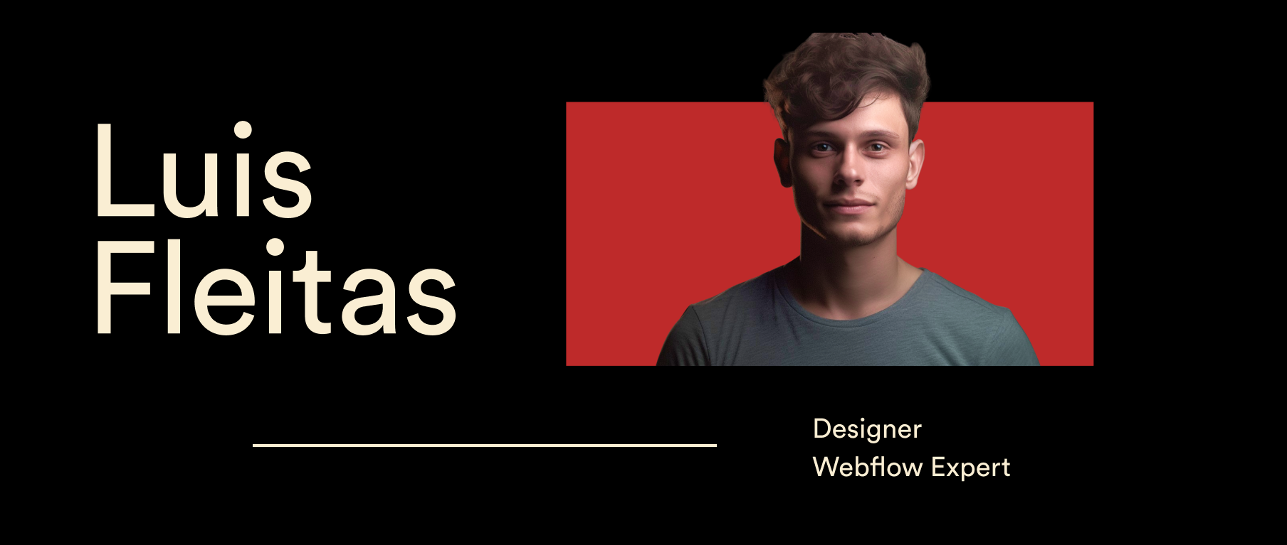 Luis Fleitas ― Designer & Webflow Expert