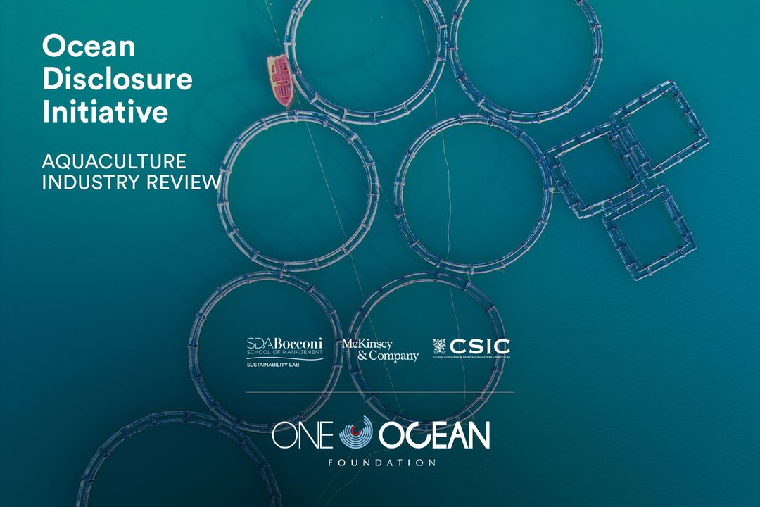 Home | One Ocean Foundation