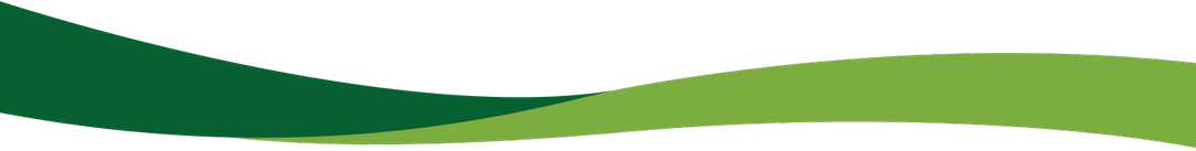Fertilizantes Santo Domingo S.A.