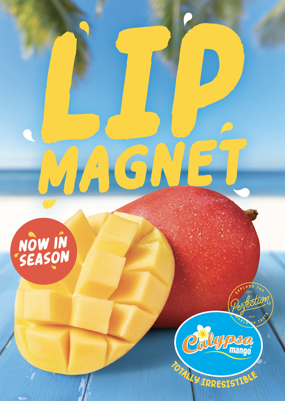 Calypso Mangoes