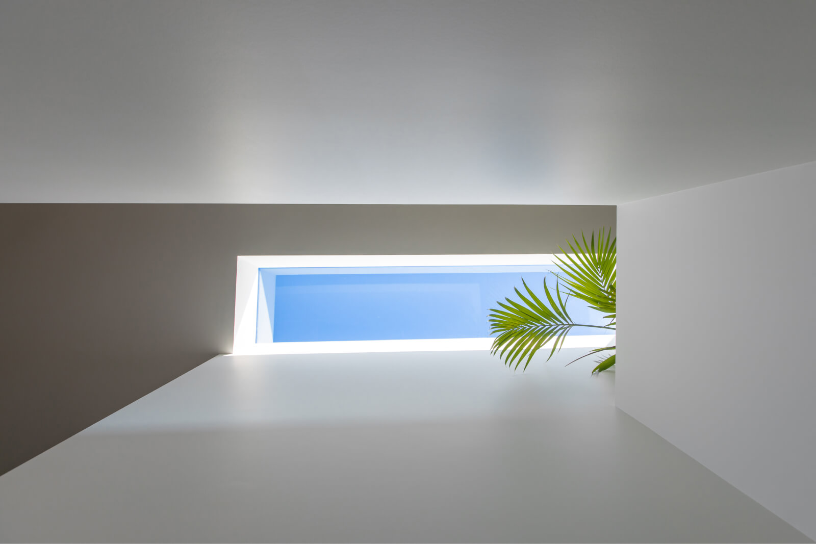 Revelation Project | Unique Skylights