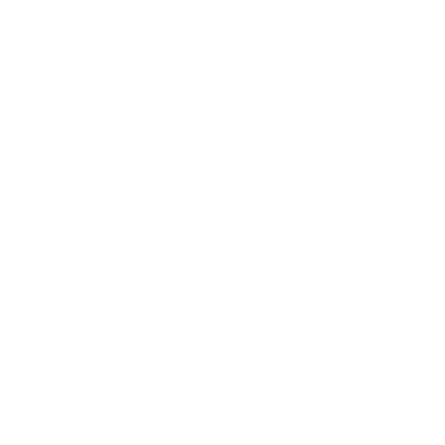 Adlux Roof Windows | Unique Skylights