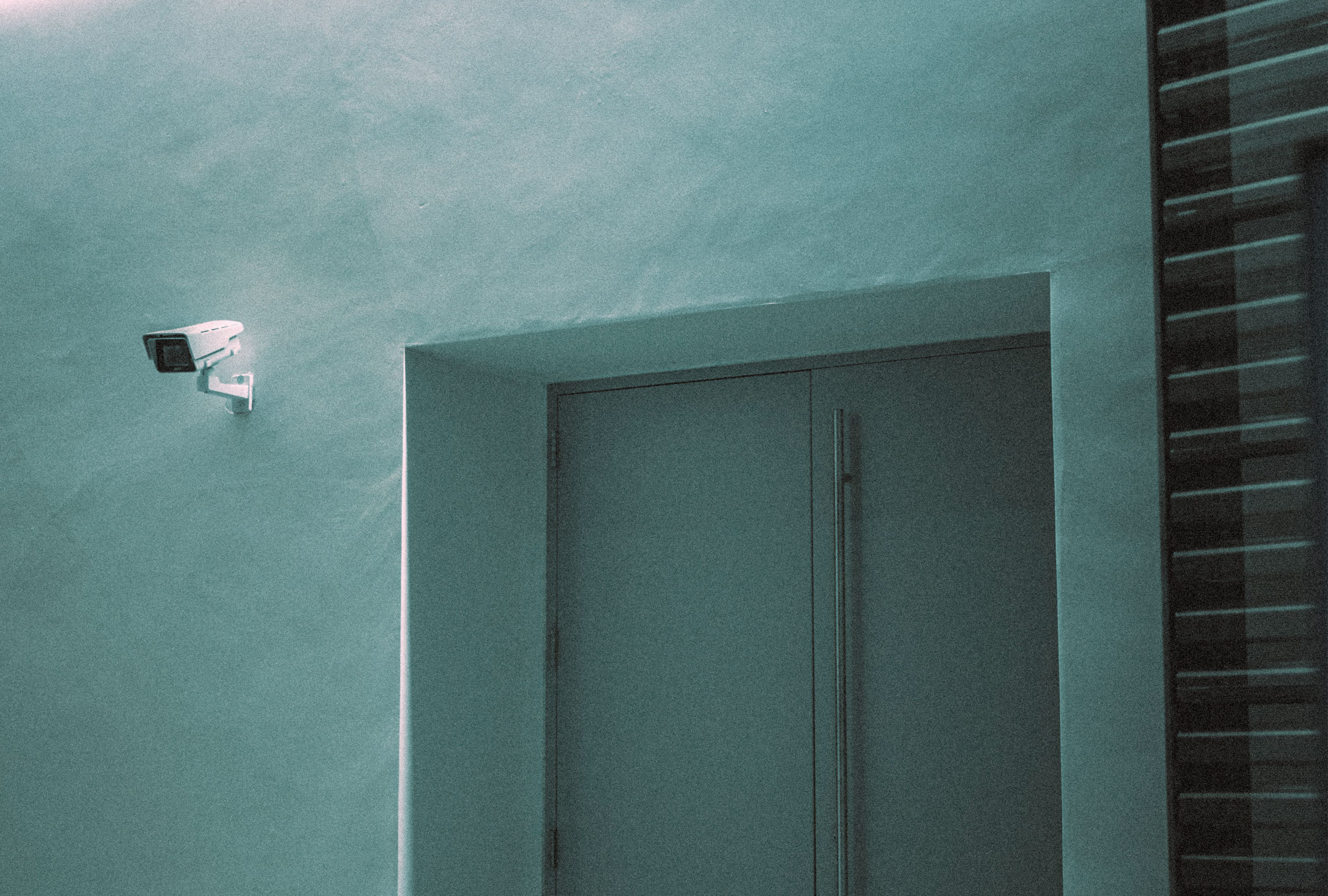 Big Tech's Monopoly Power | Interactive