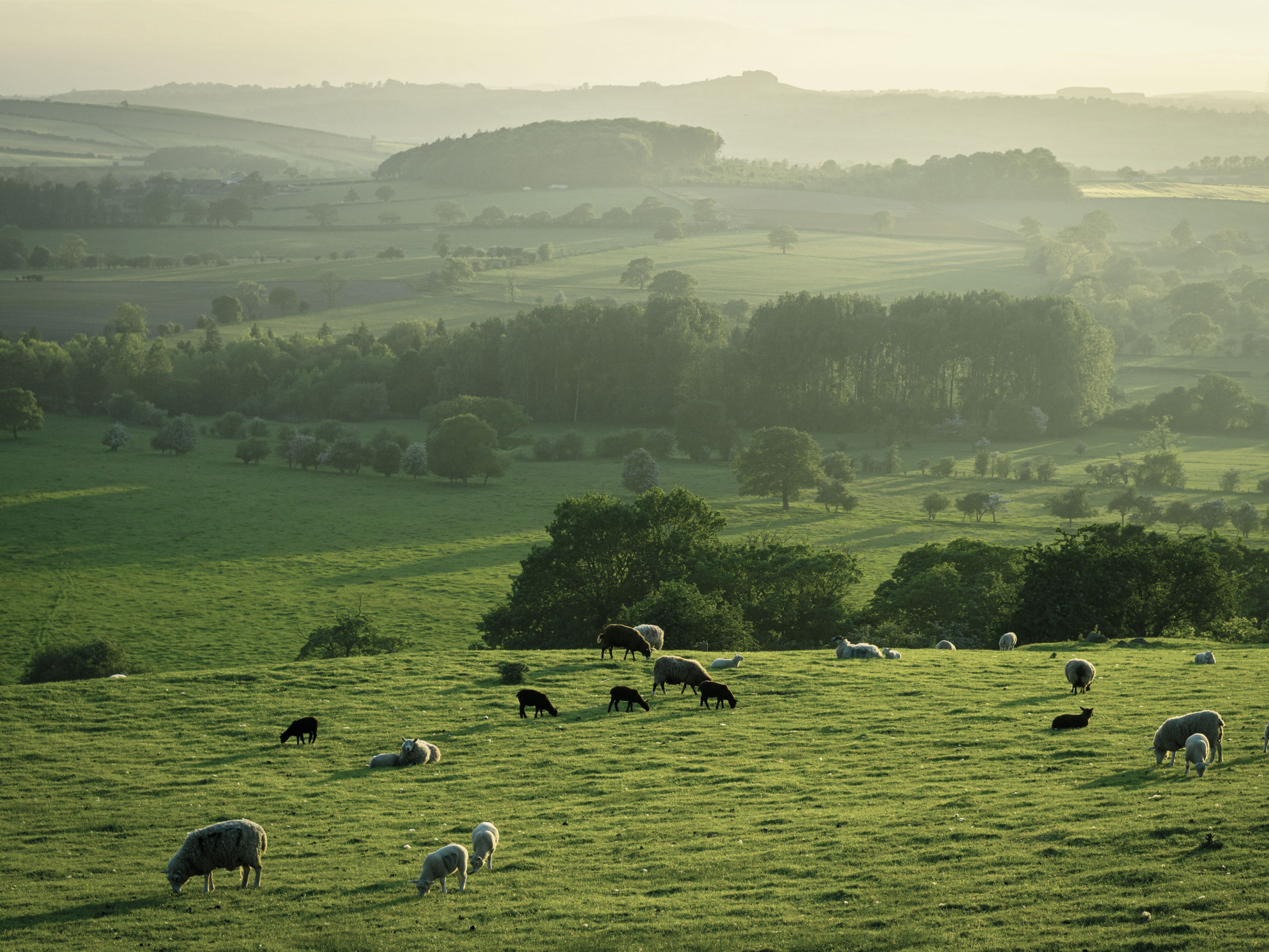 The Natural Capital Approach: Rethinking England’s Local Nature ...