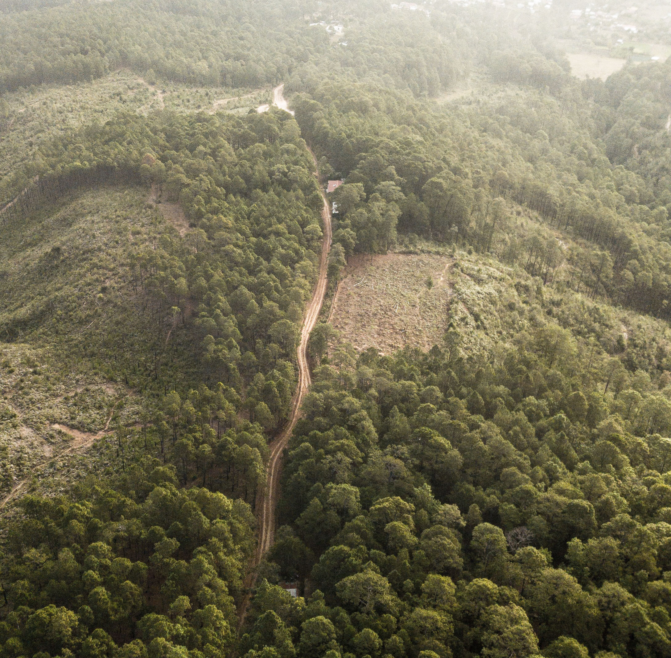 Blueprint for a Green New Deal | Video | Common Wealth