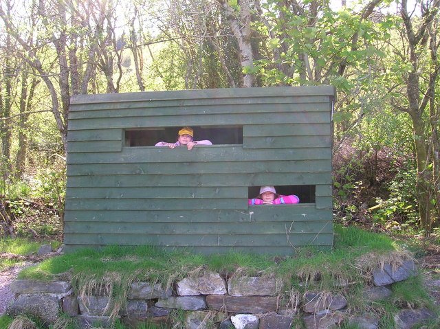 Birdwatching Lingo & Terminology - Bird Buddy Blog