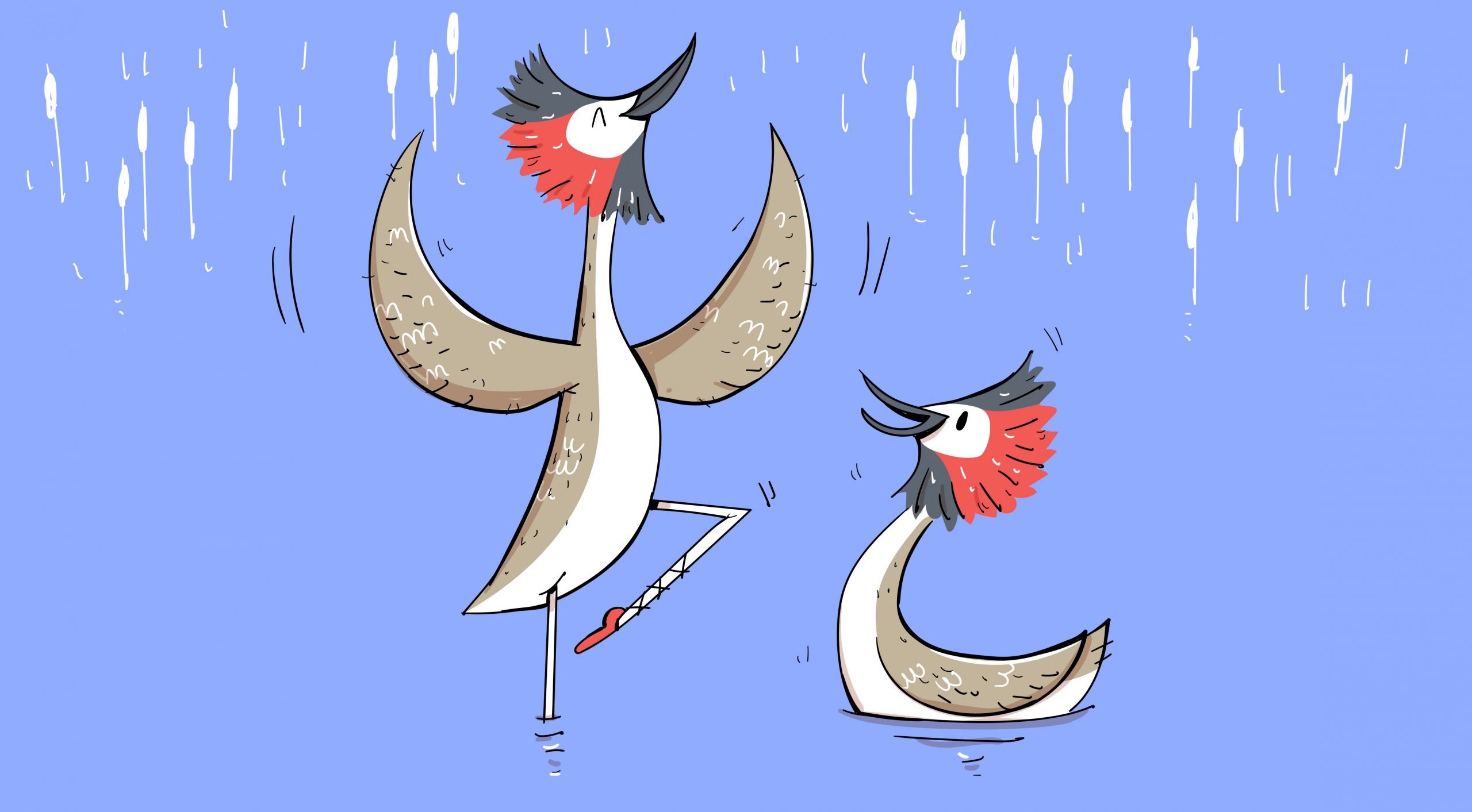 The Birds Of 'The Twelve Days Of Christmas' Song - Bird Buddy Blog