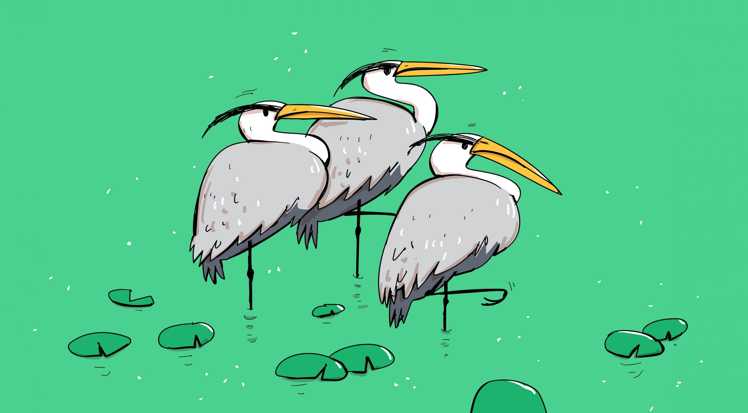 The Birds Of 'The Twelve Days Of Christmas' Song - Bird Buddy Blog